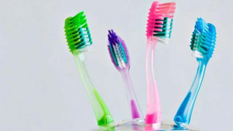 Conocé qué podés hacer con estos objetos desechables en tu hogar - LA ...